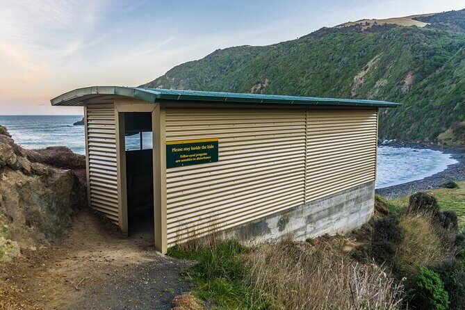 Nugget Point and Cathedral Caves Private Tour from Dunedin - FAQ About This Tour