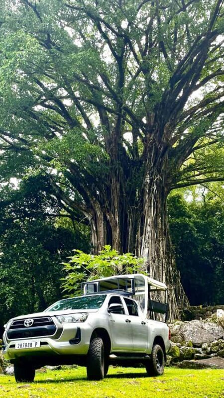 Nuku Hiva: 3 Valleys Tour, Taipivai, Hatiheu, and Aakapa - An In-Depth Look at the 3 Valleys Tour