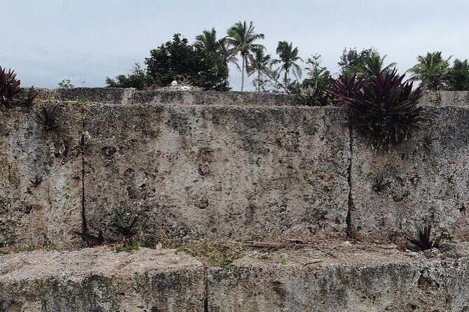 Nuku'alofa Shore Excursion: PRIVATE VIP fully flexible mainland tour - An Honest Look at the Tour Experience