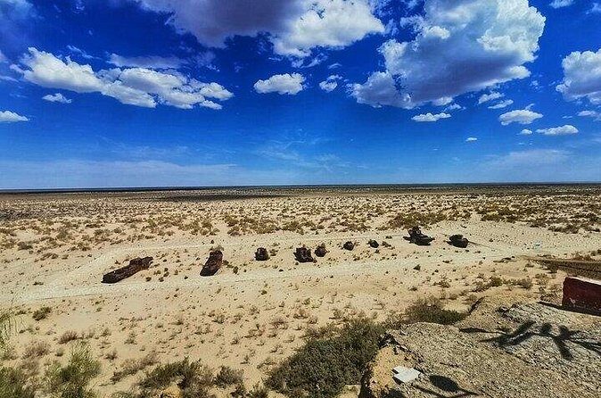Nukus Private Transfer with Aral Sea View - Who Would Enjoy This Tour?