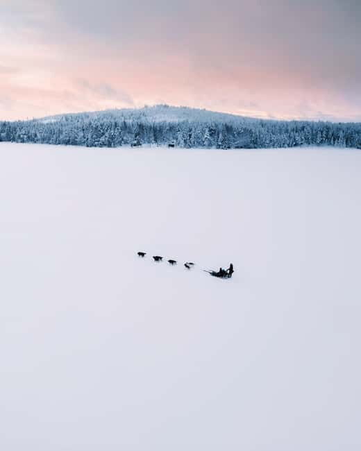 Nulkki Husky Adventure - What to Expect: An Authentic Arctic Adventure