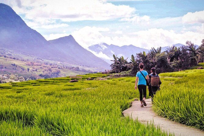 Number one top rated ethical cultural trekking and homestay by ETHOS - Final Thoughts: Is This Experience Right for You?