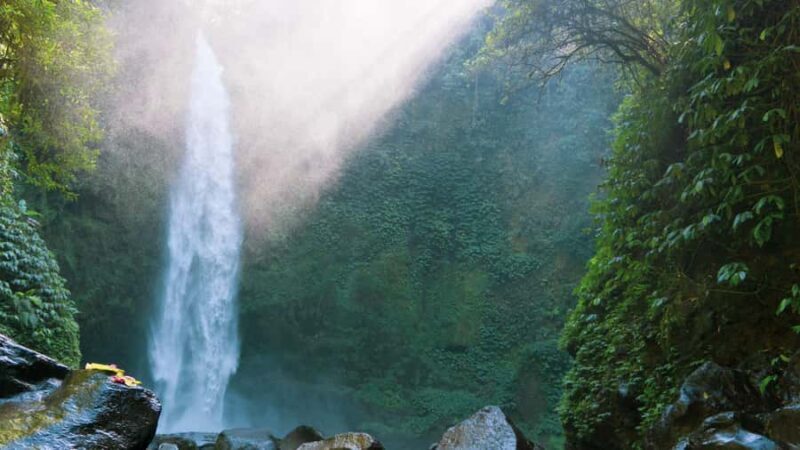 Nungnung Waterfall & Jatiluwih Rice Fields Tour - A Day of Natural Wonders and Cultural Flavors