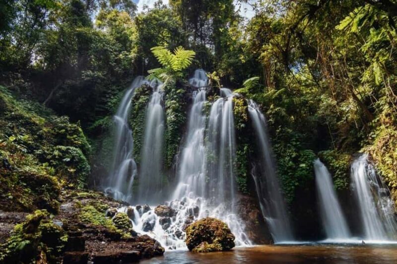 Nungnung Waterfall & Jatiluwih Rice Fields Tour - Who Will Appreciate This Tour?