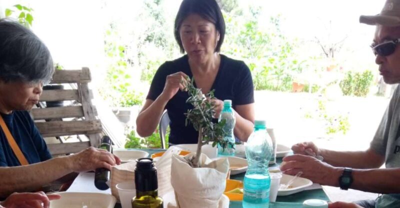 Nuoro: Visit an oil mill with oil tasting - Nuoro: Visit an Oil Mill with Oil Tasting — A Deep Dive into Sardinian Olive Oil