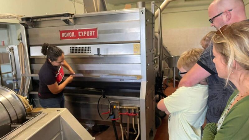 Nuoro: Visit an oil mill with oil tasting - Key Points