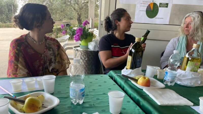 Nuoro: Visit an oil mill with oil tasting - What Travelers Are Saying