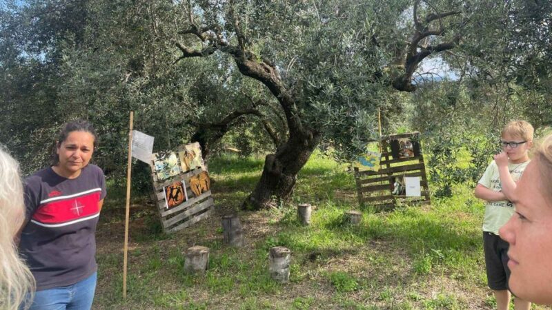 Nuoro: Visit an oil mill with oil tasting - Pricing and Value