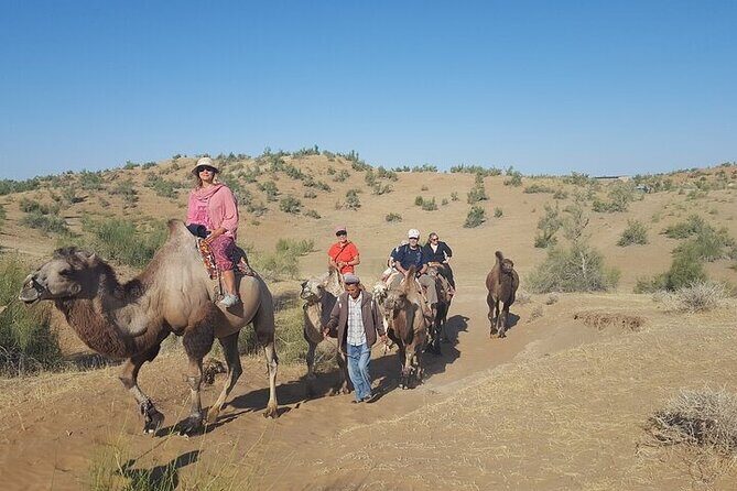 Nurata Mountain & Kyzyl-kum Desert 3 Day Tour From Samarkand or Bukhara - Introduction