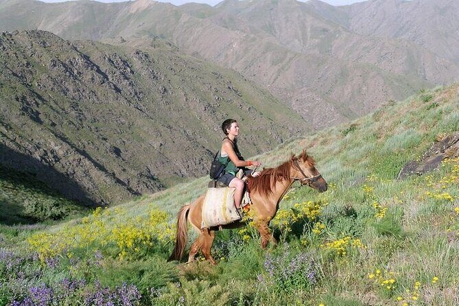 Nurata Mountain & Kyzyl-kum Desert 3 Day Tour From Samarkand or Bukhara - FAQ