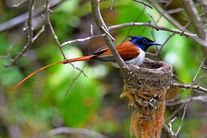 Nuratau Village Home Stay and Hiking tours from Bukhara - What the Tour Offers: A Deep Dive into Experience and Value