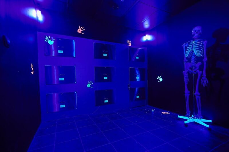 Nürnberg: Secret Surgery Escape Room Game - What to Expect at the Nürnberg: Secret Surgery Escape Room