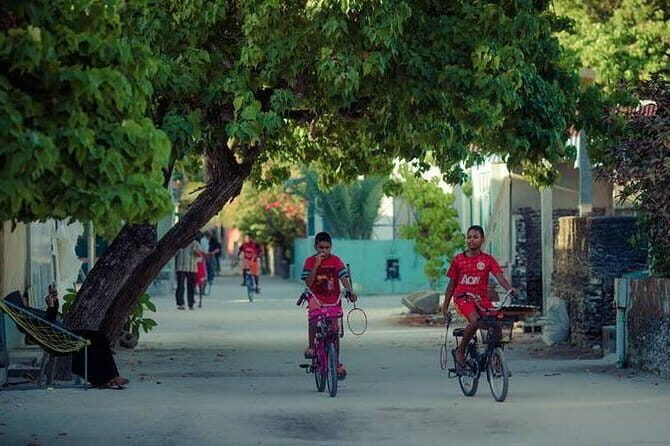 Nurse Shark Snorkelling - The Bottom Line: Is It Worth It?