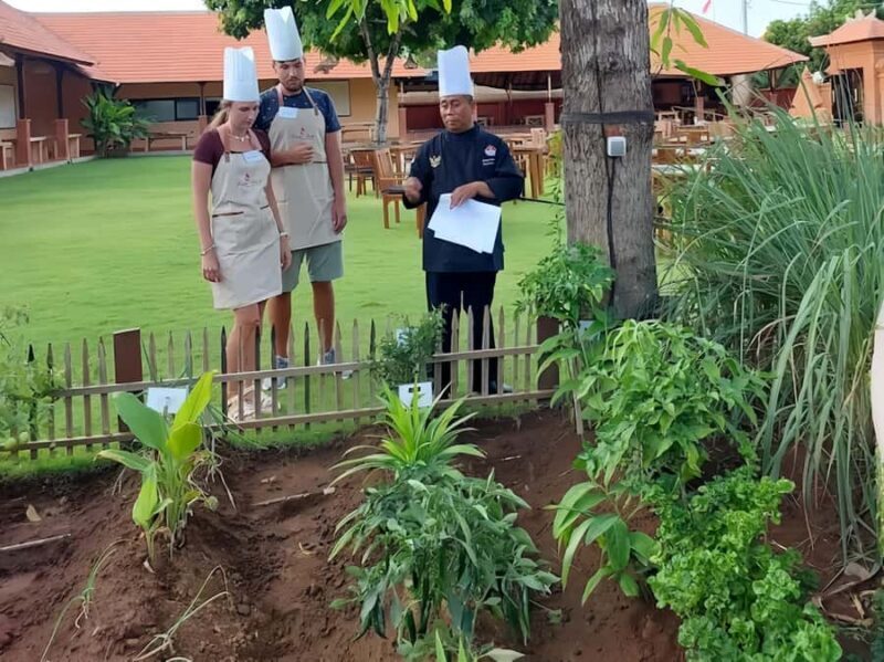 Nusa dua: Balinese Cooking Class with Herb Garden Visit - A Practical Look at the Nusa Dua Balinese Cooking Class