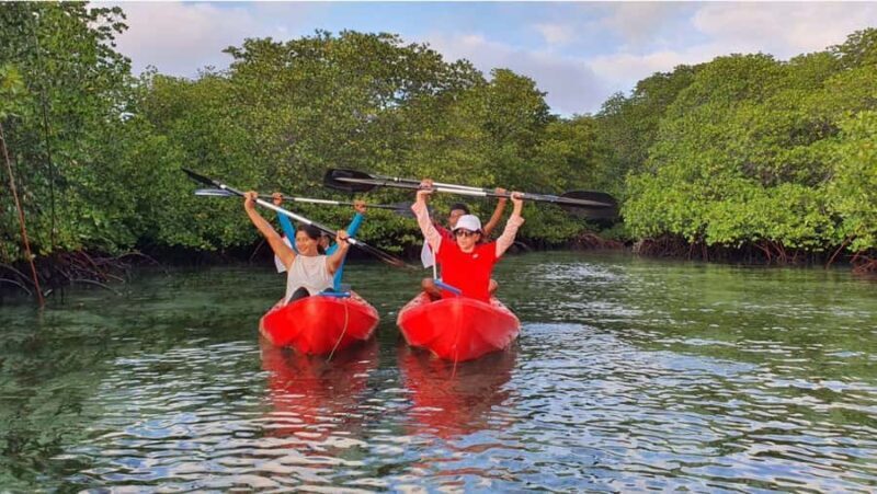 Nusa Dua: Suwung Mangrove Glass Bottom Boat Tour - Key Points