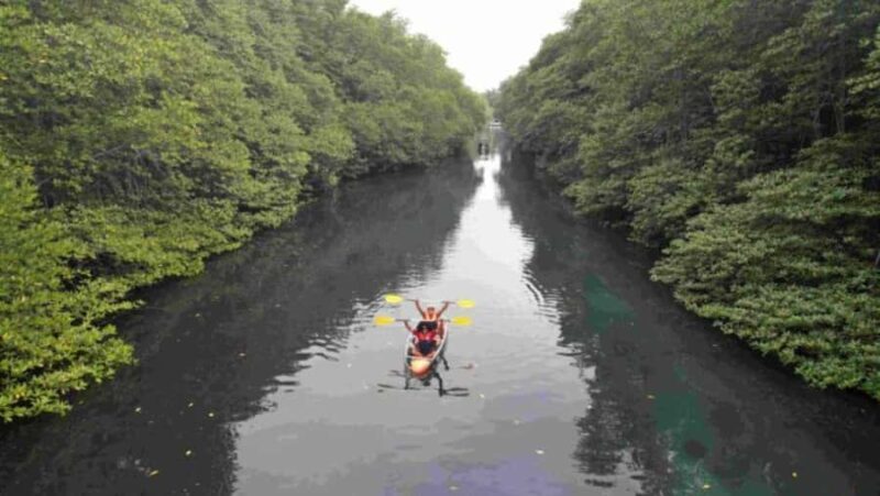 Nusa Dua: Suwung Mangrove Glass Bottom Boat Tour - Final Thoughts