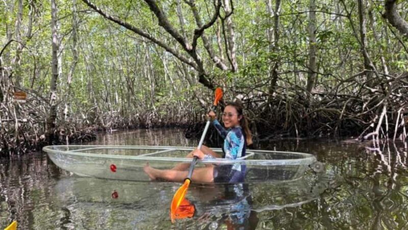 Nusa Dua: Suwung Mangrove Glass Bottom Boat Tour - Key Points