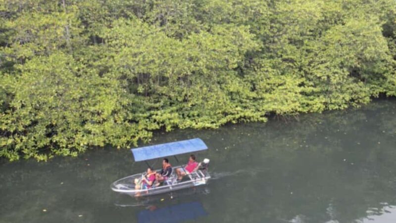 Nusa Dua: Suwung Mangrove Glass Bottom Boat Tour - Final Thoughts: Is This Tour Worth It?