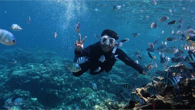 Nusa Dua: Watersports Packages and Turtle Conservation Tour - Discovering Tanjung Benoa’s Water Playground
