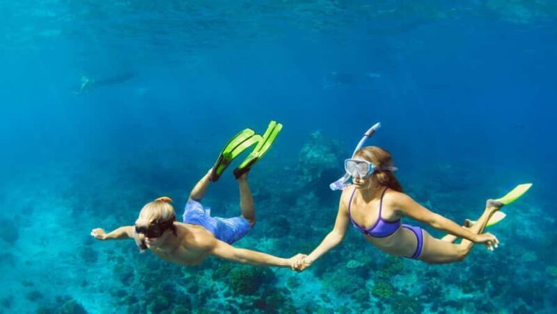 Nusa Dua: Watersports Packages and Turtle Conservation Tour - Underwater Experiences for All Ages