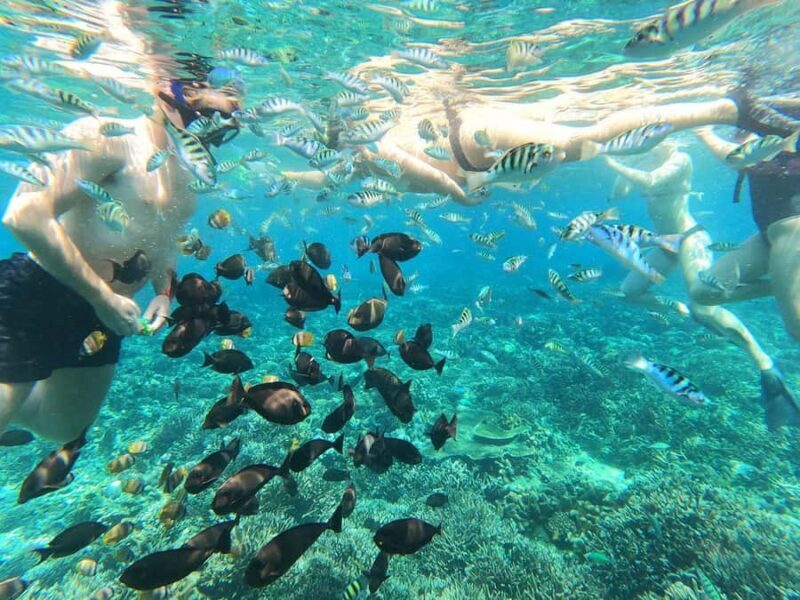Nusa Lembongan and Nusa Penida: 2-Day Tour - Who This Tour Is Best For