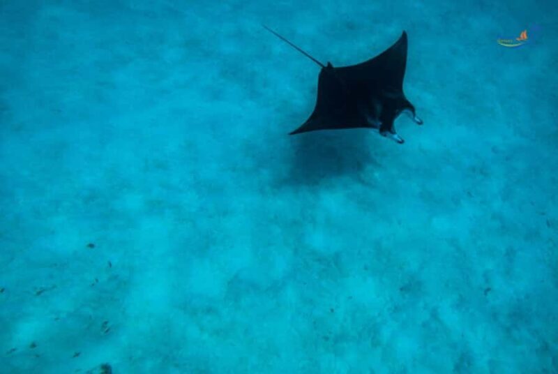 Nusa Lembongan and Nusa Penida: 2-Day Tour - Frequently Asked Questions