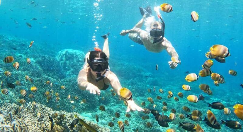 Nusa Lembongan from Bali: 3 Spots Snorkeling & Islands Tour - Exploring the Nusa Lembongan from Bali: 3 Spots Snorkeling & Islands Tour