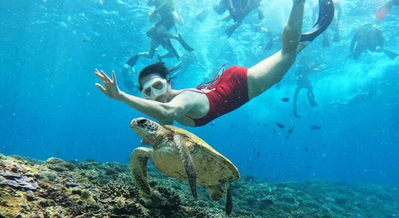 Nusa Lembongan from Bali: 3 Spots Snorkeling & Islands Tour - FAQ