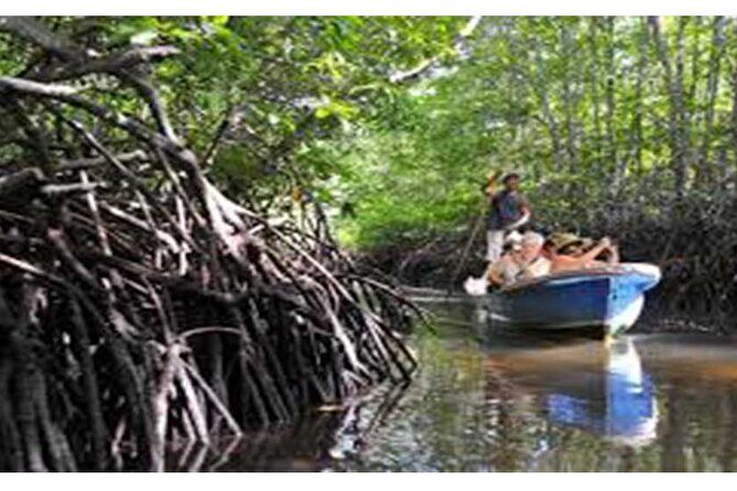 Nusa Lembongan Highlights Day Trip All-Inclusive - Authentic Experiences & Guest Feedback