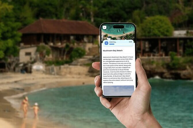 Nusa Lembongan Interactive Tour - What to Expect: Logistics and Experience
