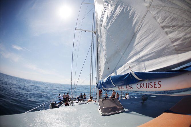 Nusa Lembongan: Island Discovery Cruise - The Gourmet Lunch and Relaxing on Deck