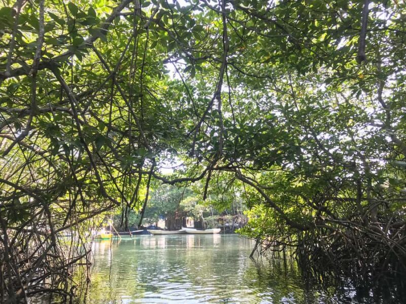 Nusa Lembongan Mangrove & Island Tour - Authenticity and Real Experiences
