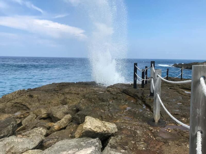 Nusa Lembongan Mangrove & Island Tour - FAQ