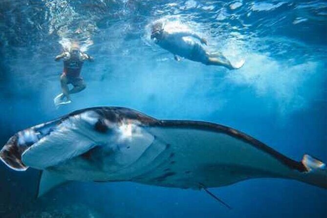 Nusa Penida 4 Spot Snorkeling Adventure and Land Tour Combo - Introduction