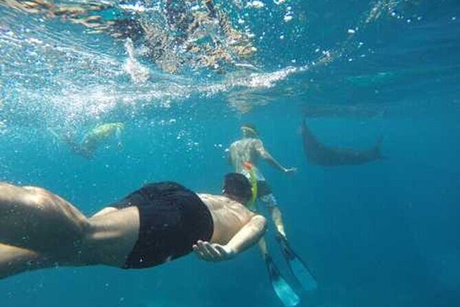 Nusa Penida 4 Spot Snorkeling Adventure and Land Tour Combo - A Full Breakdown of the Tour Experience
