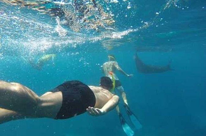Nusa Penida 4 Spot Snorkeling Adventure and Land Tour Combo - FAQ
