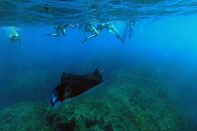 Nusa Penida 4 Spot Snorkeling with Manta and Island Tour - Key Points