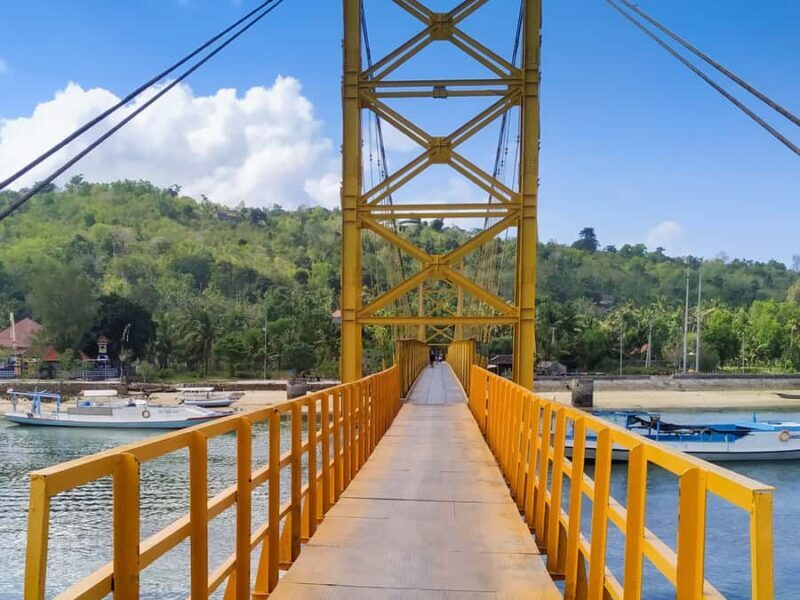 Nusa Penida and Nusa Lembongan Island Tour - Who Should Book This Tour?