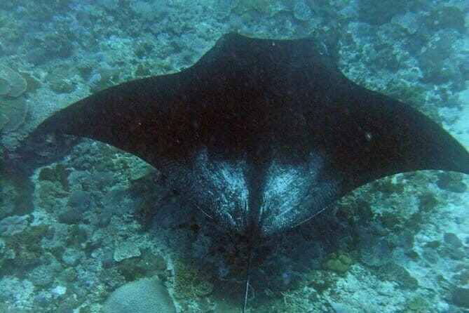 Nusa Penida Complate Tour - Key Points