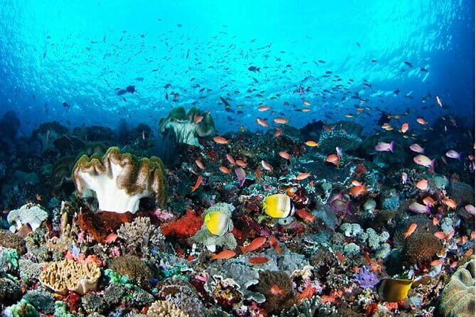 Nusa Penida Complate Tour - The Itinerary in Detail