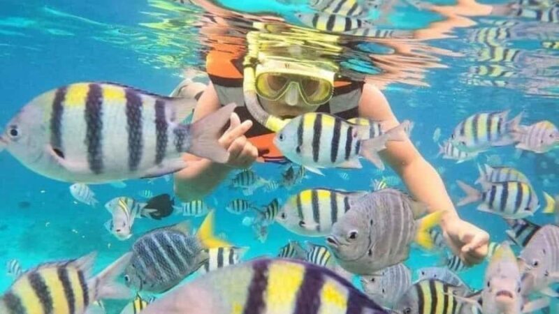 Nusa Penida: East Coast Snorkeling Tour with GoPro - Final Thoughts