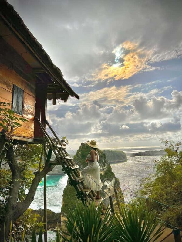 Nusa Penida East Island Private Tour with Tree House - A Detailed Look at the Tour Experience