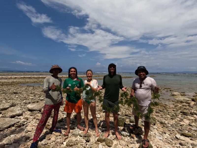 Nusa Penida: Ecotourism, Seaweed Farming & East Tour - The Sum Up
