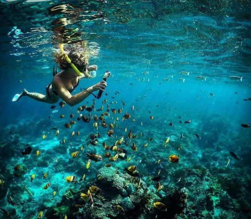 Nusa Penida: Full-Day Guided Snorkeling & Island Tour - Key Points