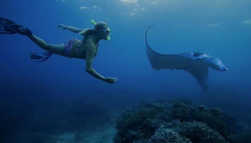 Nusa Penida: Full Day Private Snorkeling With Manta Ray - Final Thoughts