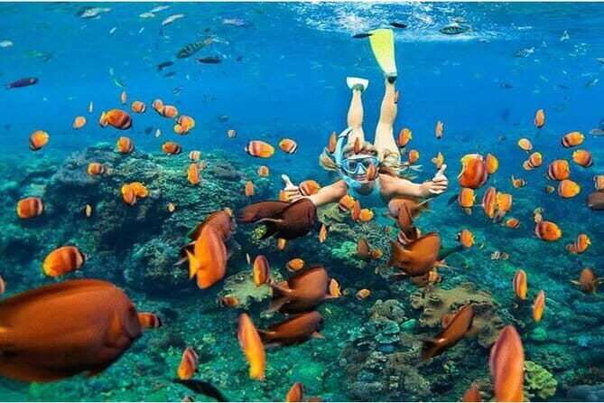 Nusa Penida Full Day Tour West Island / Snorkeling To 4 Spot - FAQ – Frequently Asked Questions