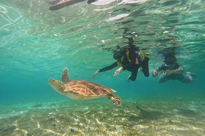 Nusa Penida & Gili Trawangan 3Days 2Night (Snorkeling) - Practical Aspects and Value