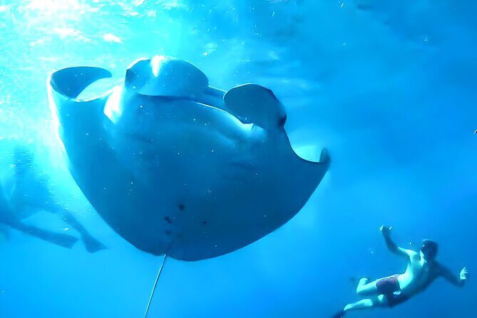 Nusa Penida Island Beach Tour With Snorkeling - Departure From Bali Island - Snorkeling Equipment and Guides