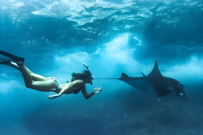 Nusa Penida Island Beach Tours with Snorkeling From Bali - Introduction