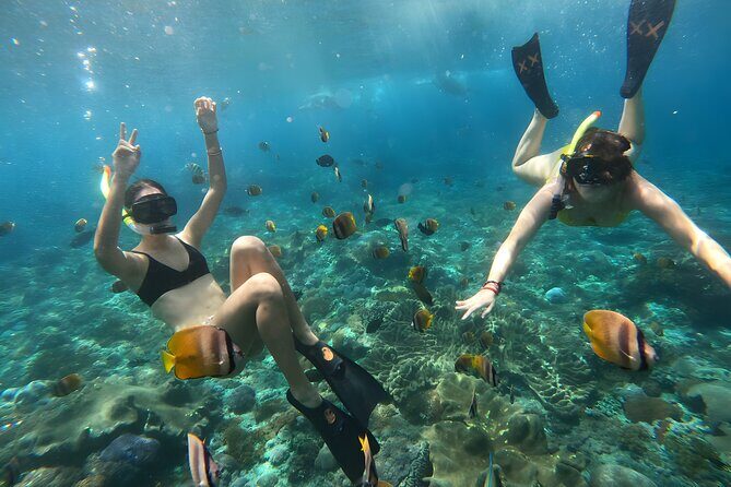 Nusa Penida Island Beach Tours with Snorkeling From Bali - Who Is This Tour Best Suited For?